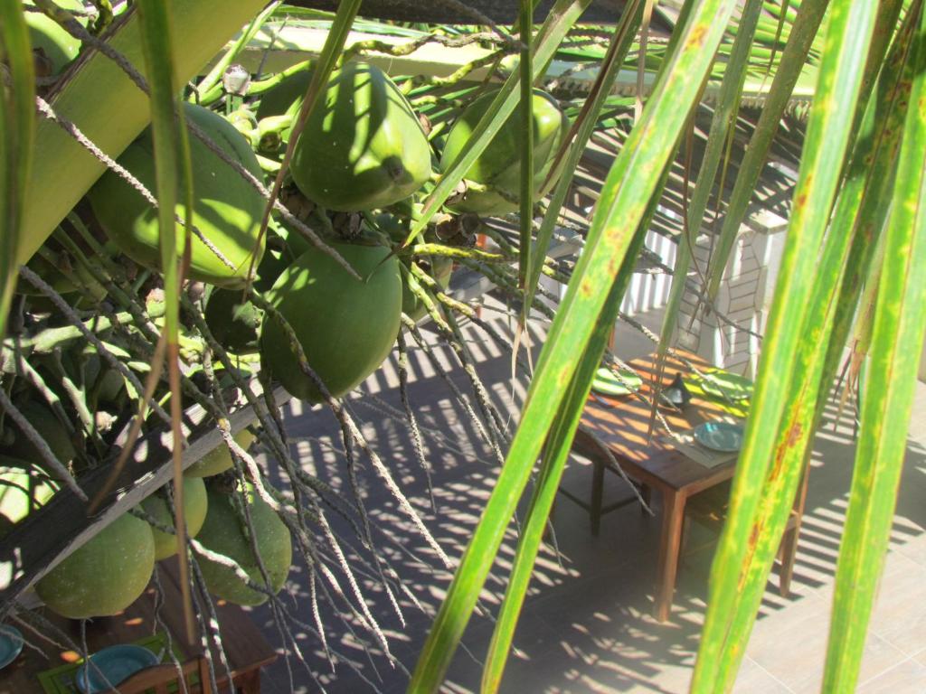 Bohobé Naboty, Toliara (updated prices 2025)