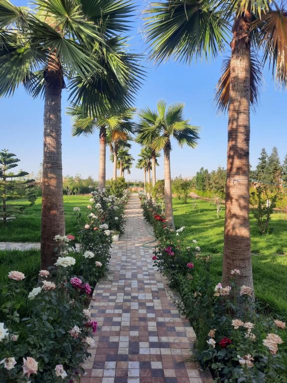 Superides Camp, Ourika (updated prices 2025)