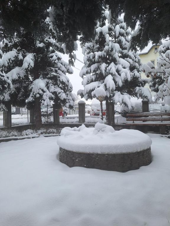 CASA CU LAVANDĂ, Vatra Dornei (updated prices 2025)