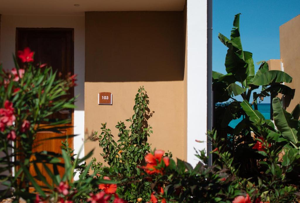 Oasis Blu Beach Resort-Adults Only, Nungwi (updated prices 2025)