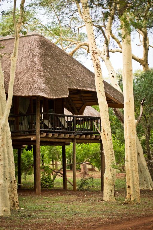 Ubizane Zululand Tree Lodge, Hluhluwe (updated prices 2025)