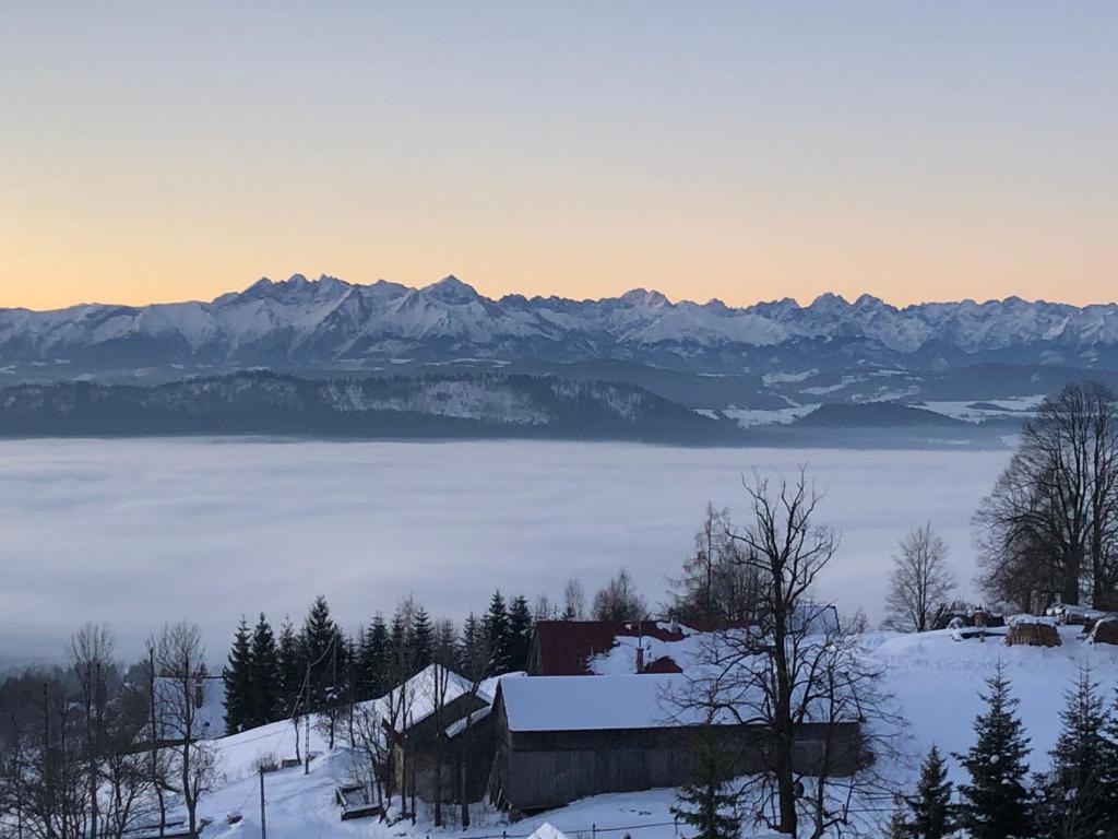 Huba 59, Huba (updated prices 2025)