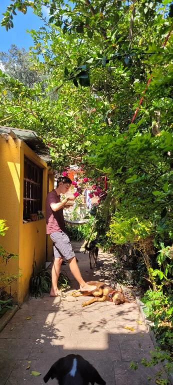 Volcano View Modest Casita with Dogs, Antigua Guatemala (aktualisierte ...