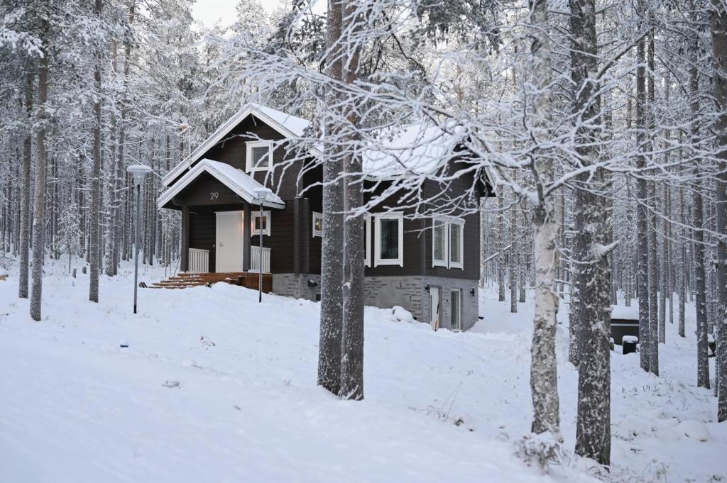 Holiday Cabin Northern Highlight, Levi (updated prices 2025)