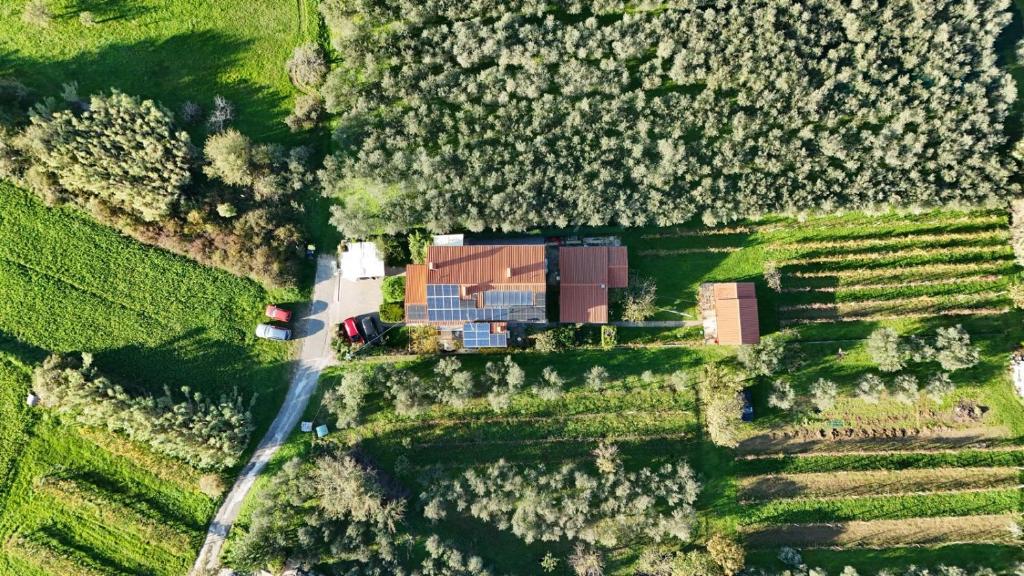 Apartment Bella Rosa, Koper (updated prices 2025)