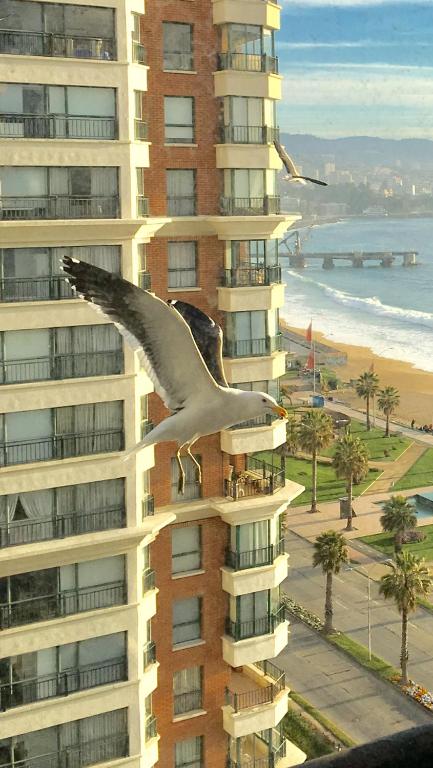 Mar Mall Depto Frente al Mar primera linea, Viña del Mar (updated ...