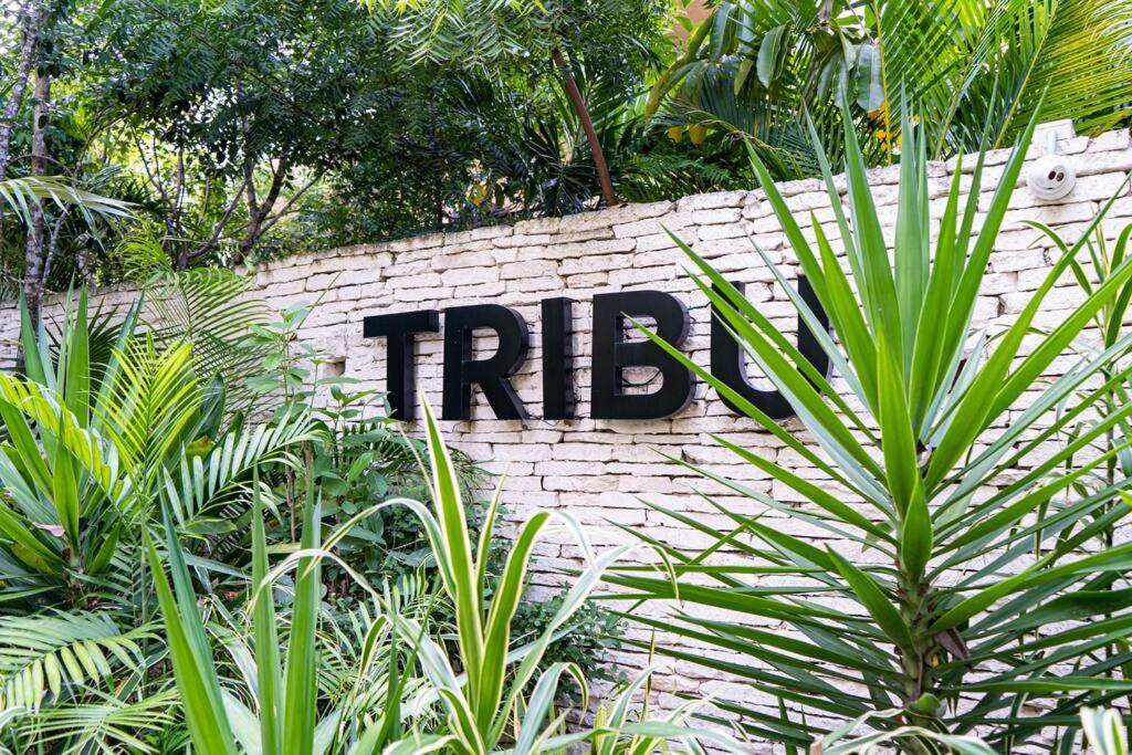 Jungle Apartment Tribu luum zama, Tulum (updated prices 2025)