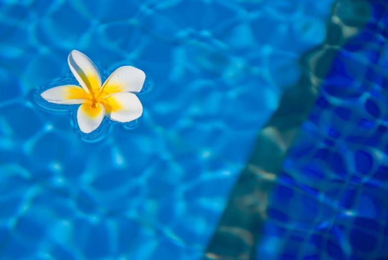 Jalsa Beach Hotel & Spa, Poste Lafayette (updated prices 2025)