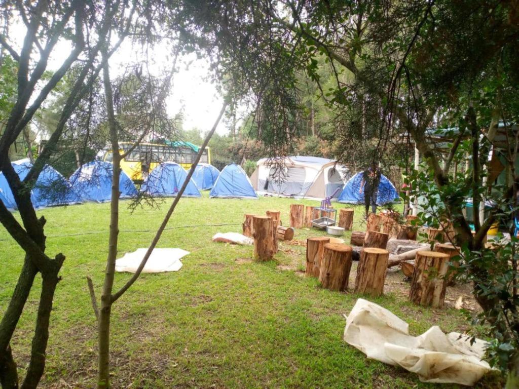Sofa Camp Naivasha, Naivasha (updated prices 2026)