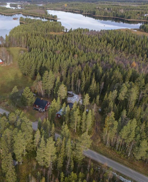 House Arctic Wolf, Blattnicksele (updated prices 2025)