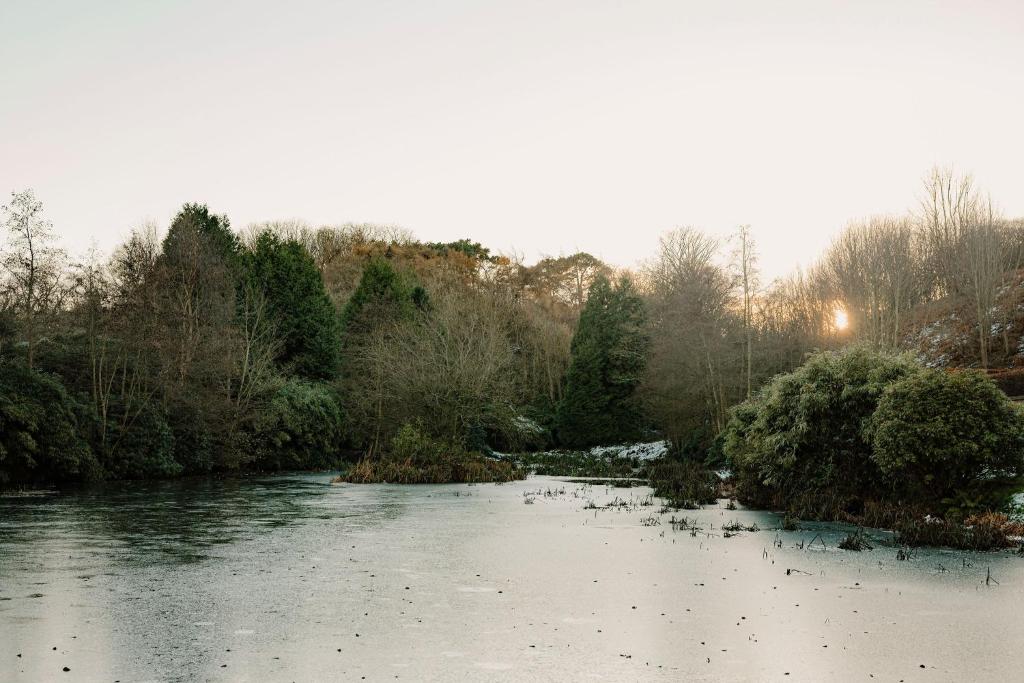 Saltmoore, Whitby (updated prices 2025)