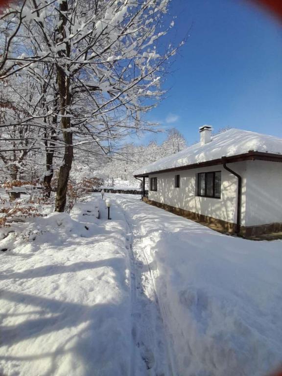 Gabarite Holiday Village, Априлци (актуальные цены 2025 года)