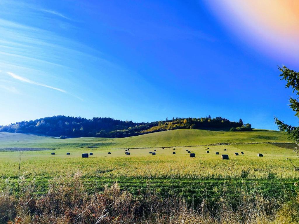 Benevyta, Bobrovec (updated prices 2025)