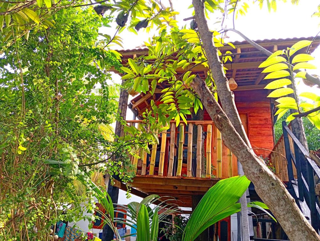 Parrot Tree House, Mirissa (updated prices 2026)