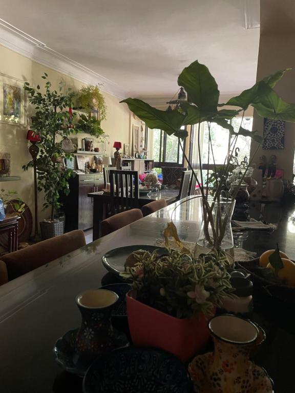 House with Garden view - Female only, Cairo (updated prices 2025)