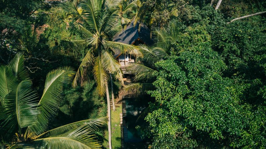 Secluded Jungle Getaway, Ubud (updated prices 2025)