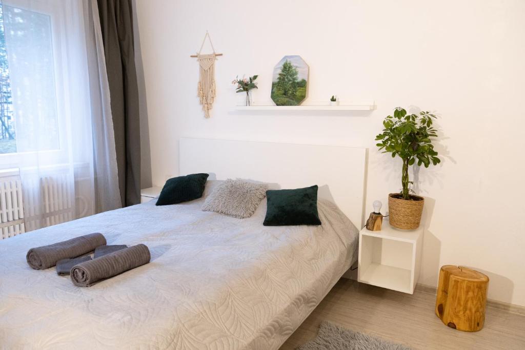 Visaginas Flat White, Visaginas (aktualisierte Preise für 2026)