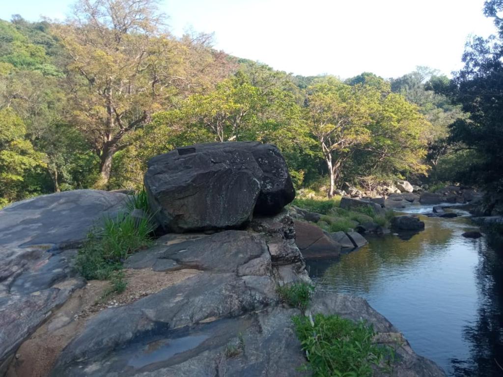 Riverston Green Parrot Villa, Matale (updated prices 2025)