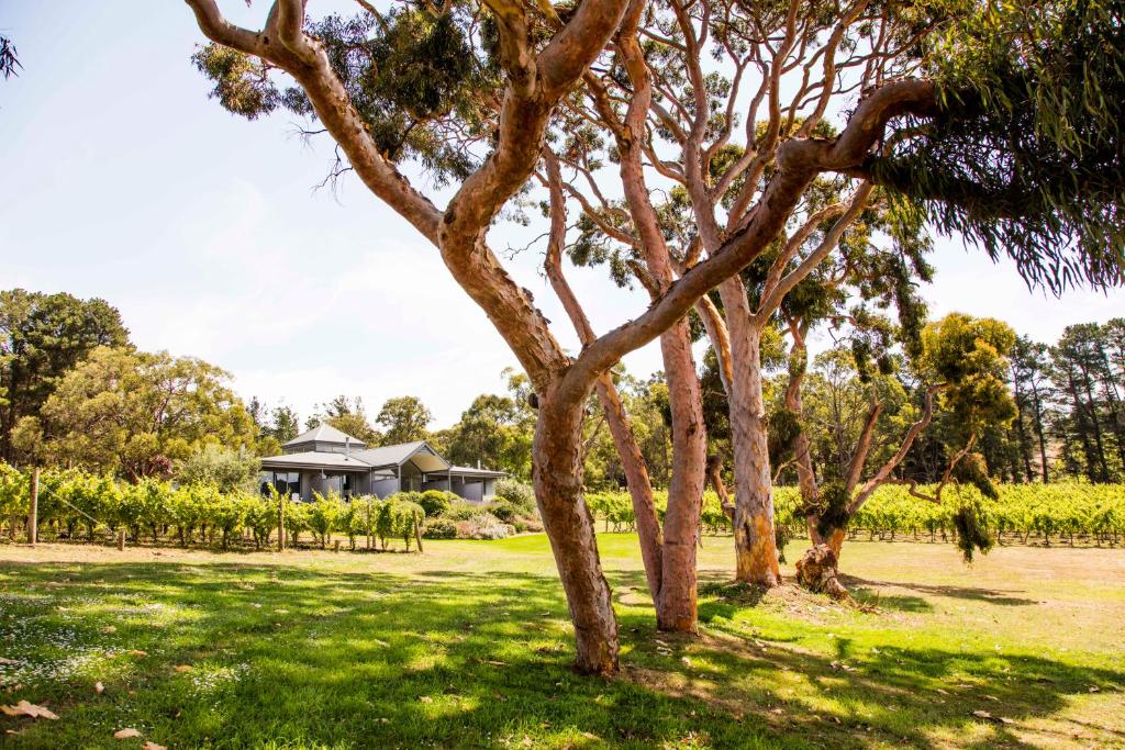 Polperro Villas, Red Hill (updated prices 2025)