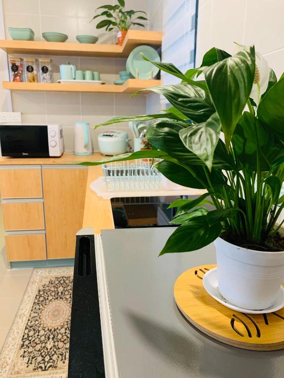 Bunga Homestay Tanjung Seaview, Kuala Terengganu (updated prices 2026)