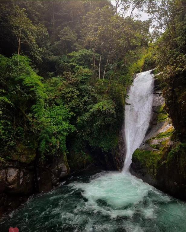 Cloudbridge Nature Reserve, Herradura (updated prices 2025)