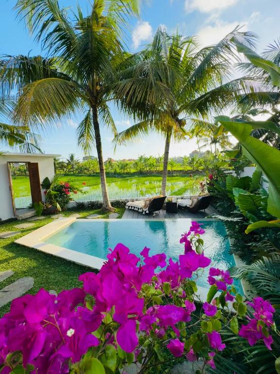 Villa Amara De'vue Rice-Field Panoramic View w Pool IG, Ubud (updated ...