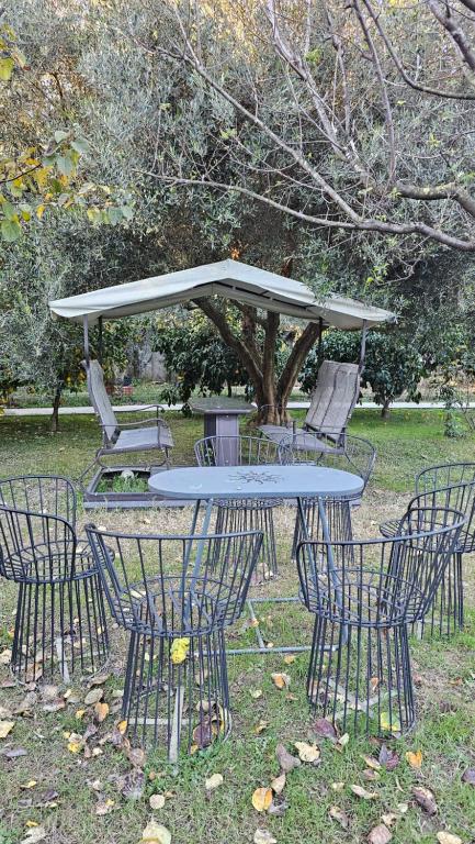 Eila's Farm, Tirana (updated prices 2025)