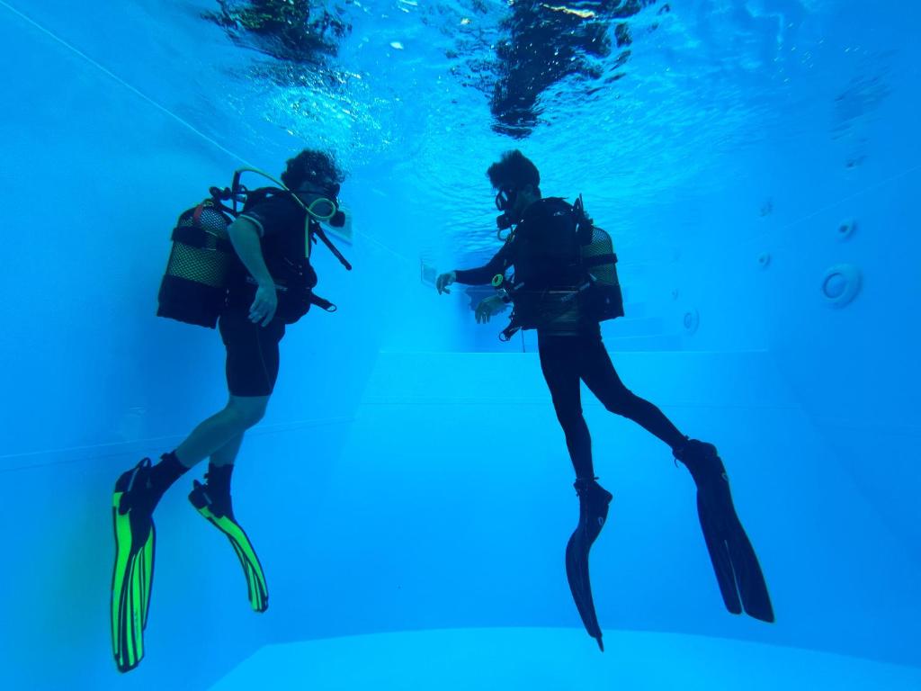 Santa Cruz Dive House PADI Dive Resort, Silveira (updated prices 2025)