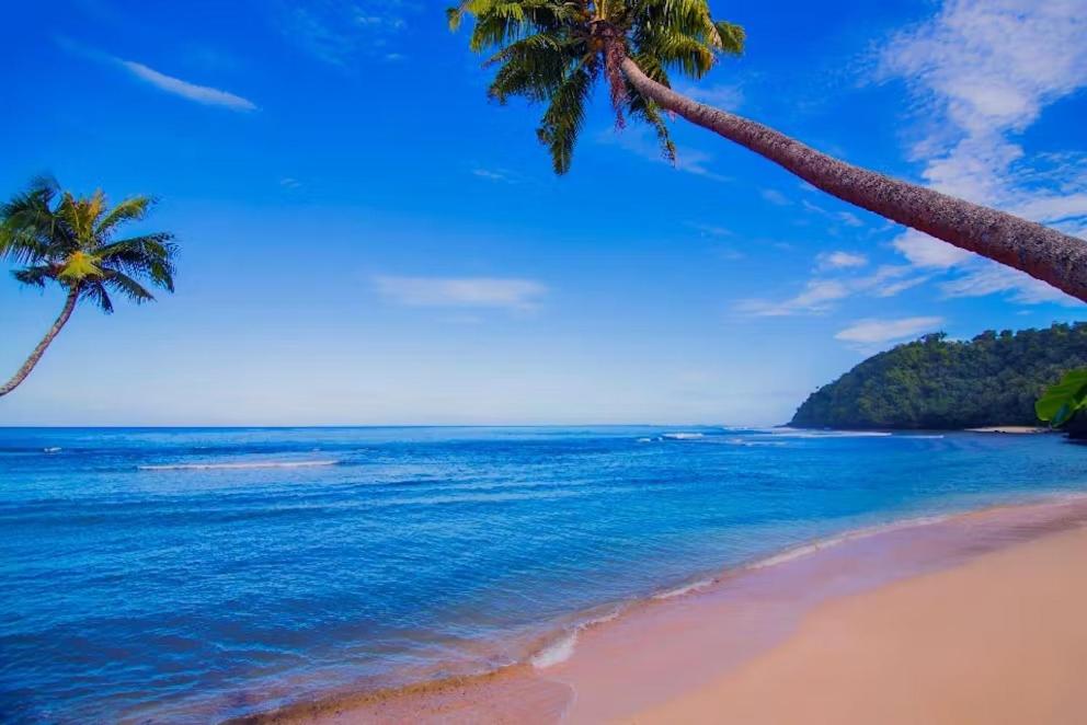 Survivor Samoa Beach Resort, Falelatai (updated prices 2026)