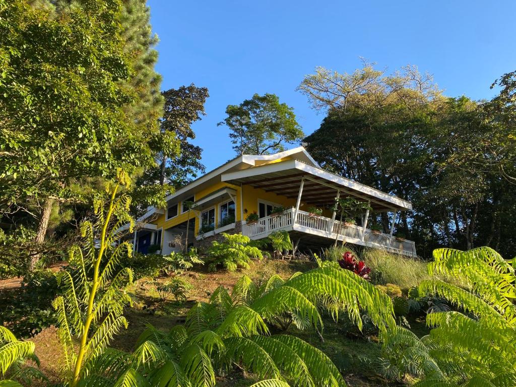 Cuki House, Quesada (updated prices 2026)