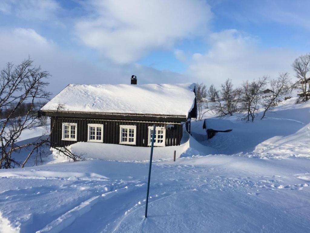 Charming cabin in beautiful Ustaoset, Ustaoset (updated prices 2025)