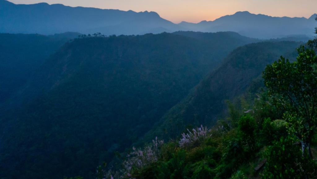 Mannath Private Pool Villas at Vellarimala, Wayanad (updated prices 2025)