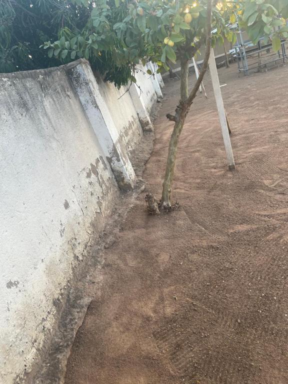 Dennilton Family House, Dennilton (updated prices 2025)