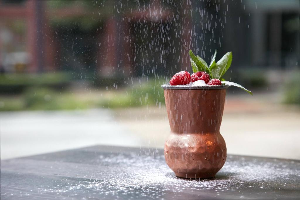 Elyton Hotel, Autograph Collection, Birmingham (updated prices 2025)