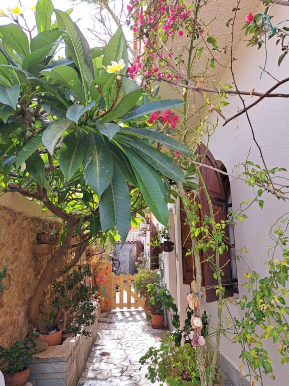 Stella Apartments Malia, Malia (updated prices 2025)