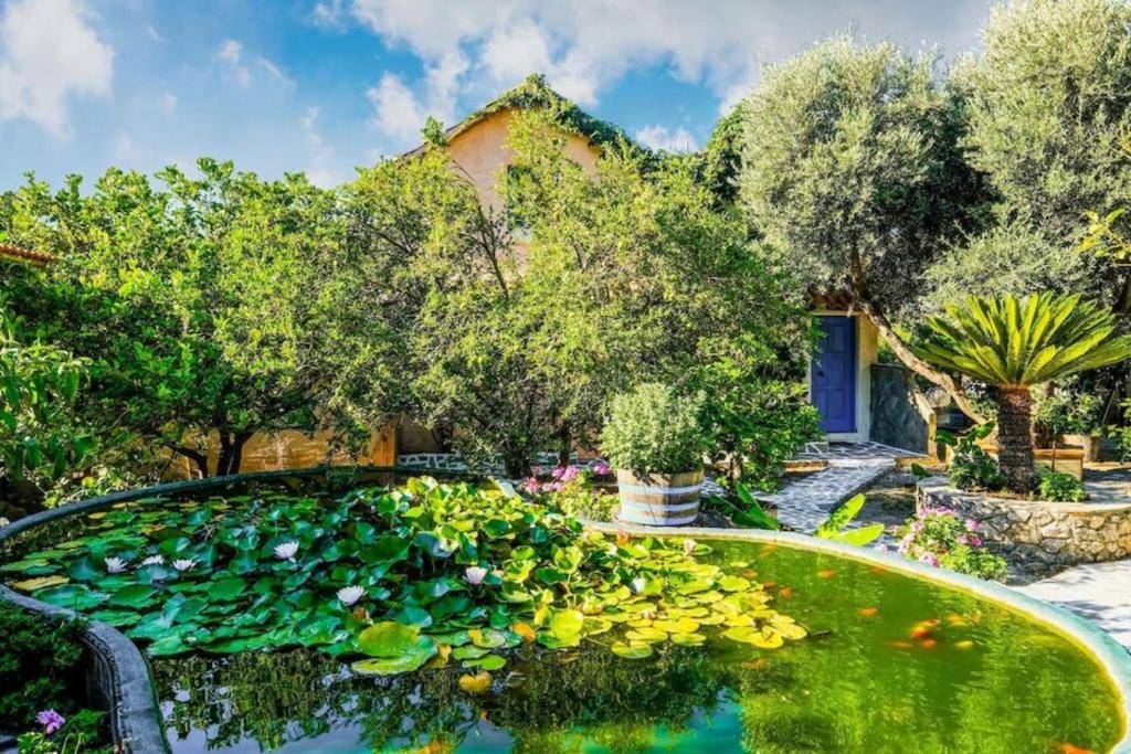 Olive tree Cottages, Palaiochora (updated prices 2025)