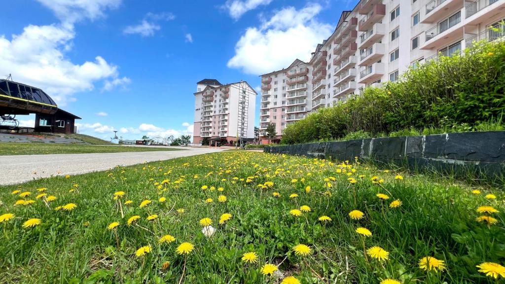 O2 Resort, Taebaek (updated prices 2026)