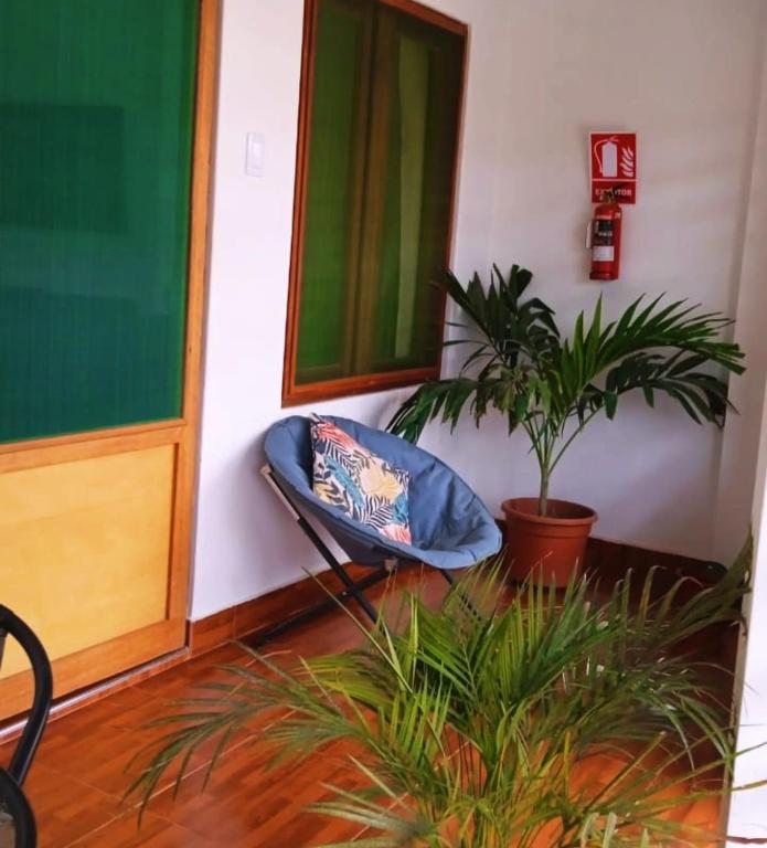 Kevin House, Los Órganos (updated prices 2025)