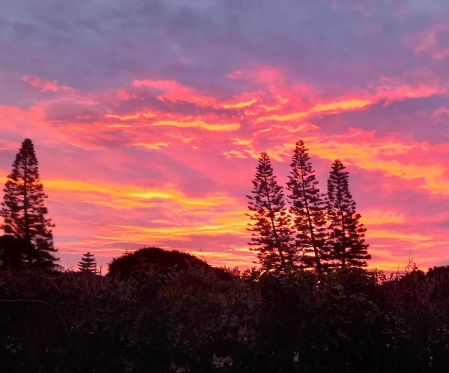 Ocean Mist, Port Alfred (updated prices 2026)