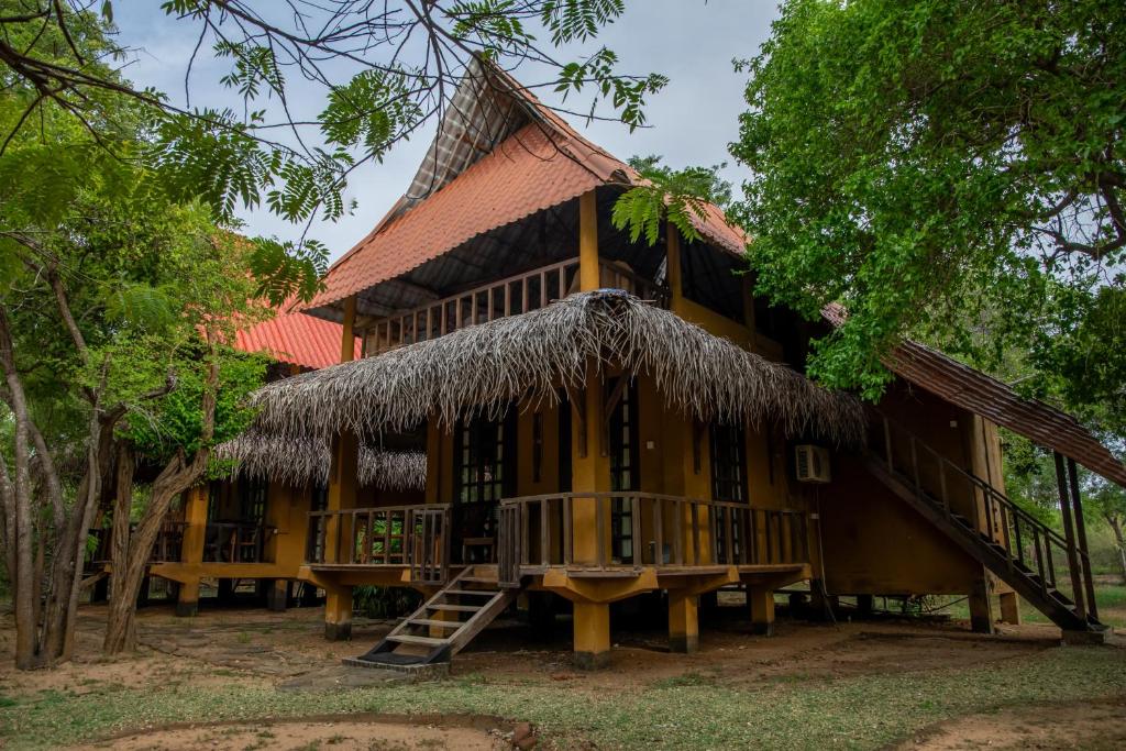 Cadjan Wild Yala, Kataragama (updated prices 2025)