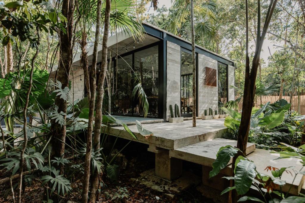 SOTA Conceptual Human Space, Puerto Morelos (updated prices 2025)