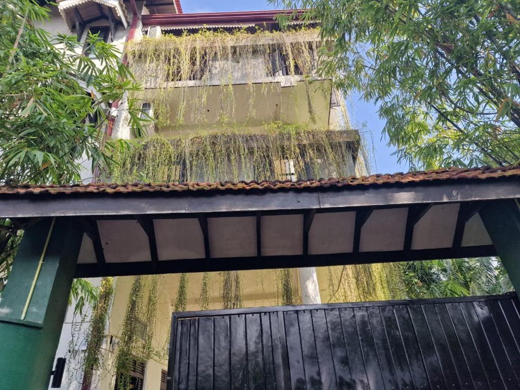 Ceilao Lesure, Hikkaduwa (updated prices 2025)