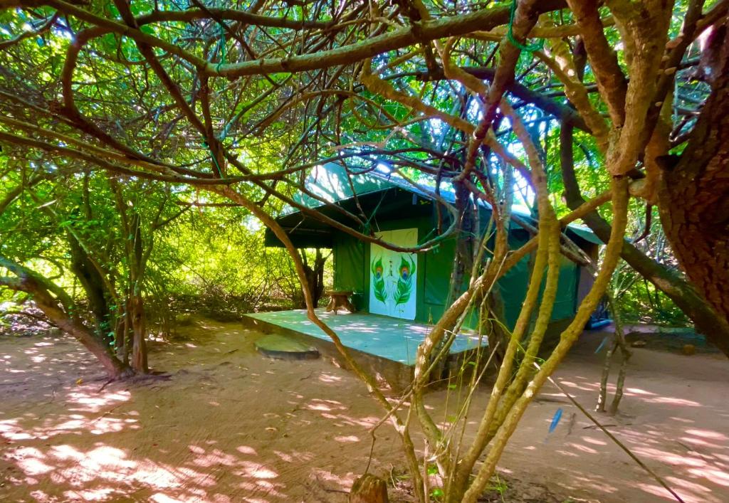 Podi Hoona Yala Safari Camp, Yala की (2026 के लिए अपडेट हुई कीमत)