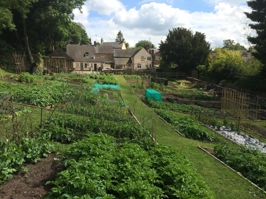 The White Hart Apartment Valley View, Alton (updated prices 2025)