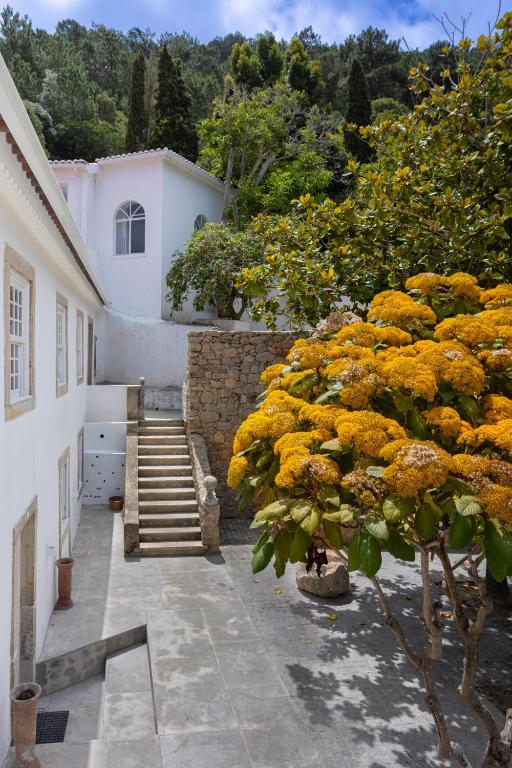 Quinta do Griffo, Colares (tarifs actualisés, 2025)