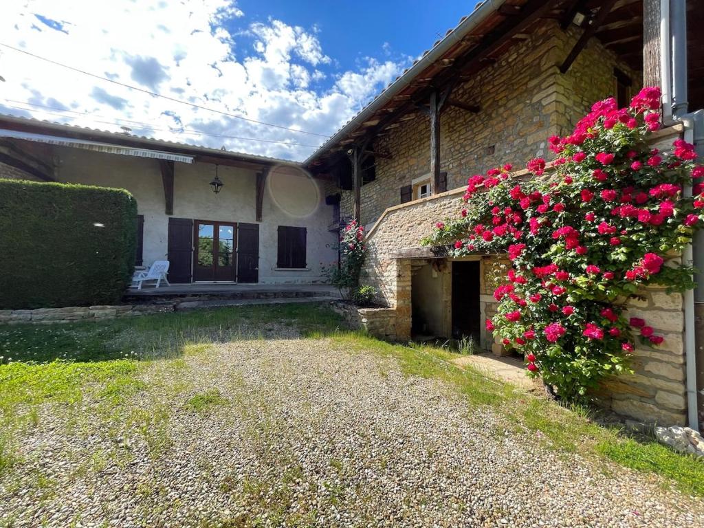 Le Reflet des Vignes by Miss K, Péronne (updated prices 2025)