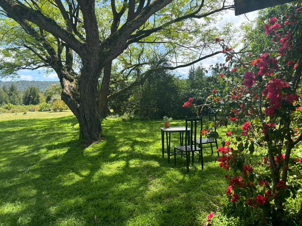The Forest Inn, Knysna (updated prices 2026)