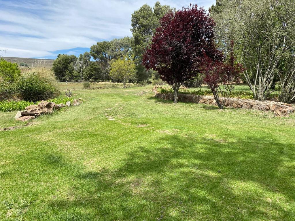 Gunsteling, Molteno (updated prices 2026)