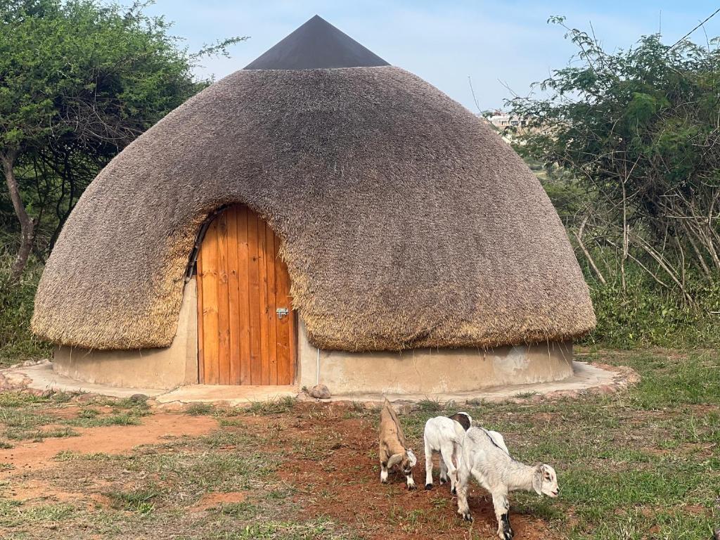 Indlondlo Cultural Village, Cato Ridge (updated prices 2025)