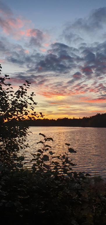 House in nature, Broby (updated prices 2026)